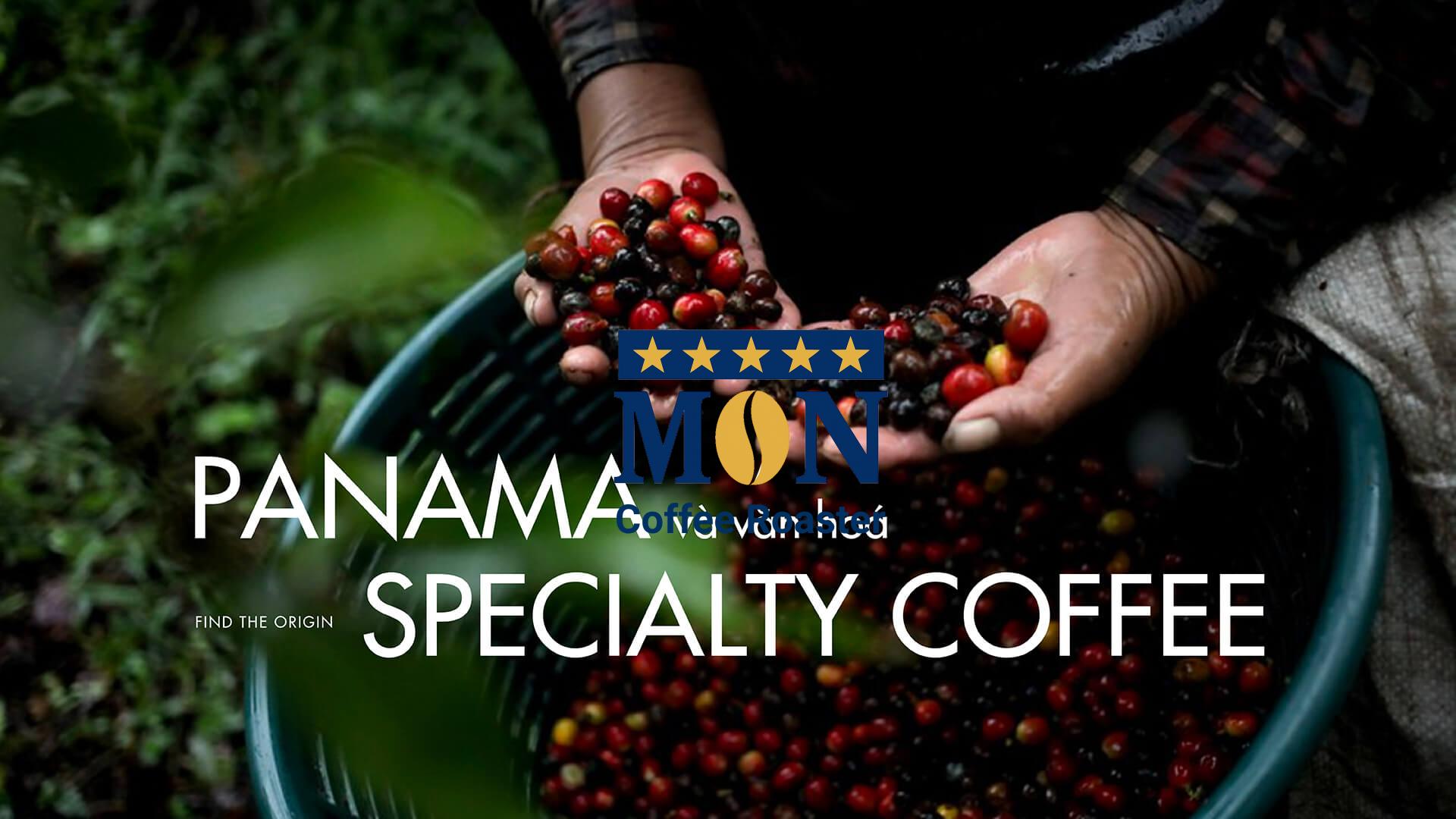 Tìm Hiểu Về Cà Phê Panama Geisha Mới Nhất Hiện Nay - Máy Rang Cà Phê ...