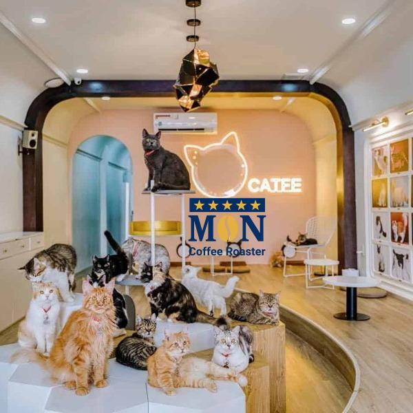 Top 7 Quán Cà Phê Thú Cưng ở Sài Gòn Bạn Nên Ghé